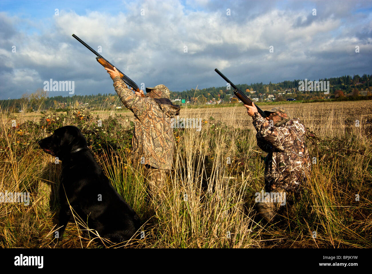 Goose hunters in camouflage clothing using autoloading shotguns drawing ...