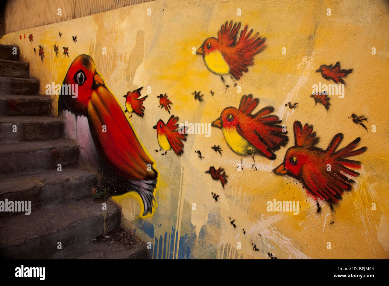 South America, Chile, Valparaiso. A painted mural of red birds. (UNESCO ...