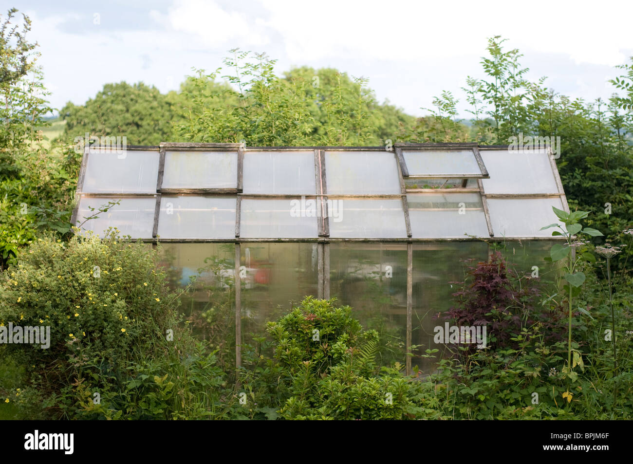 On old wooden greenhouse in an overgrown wild country garden Stock ...