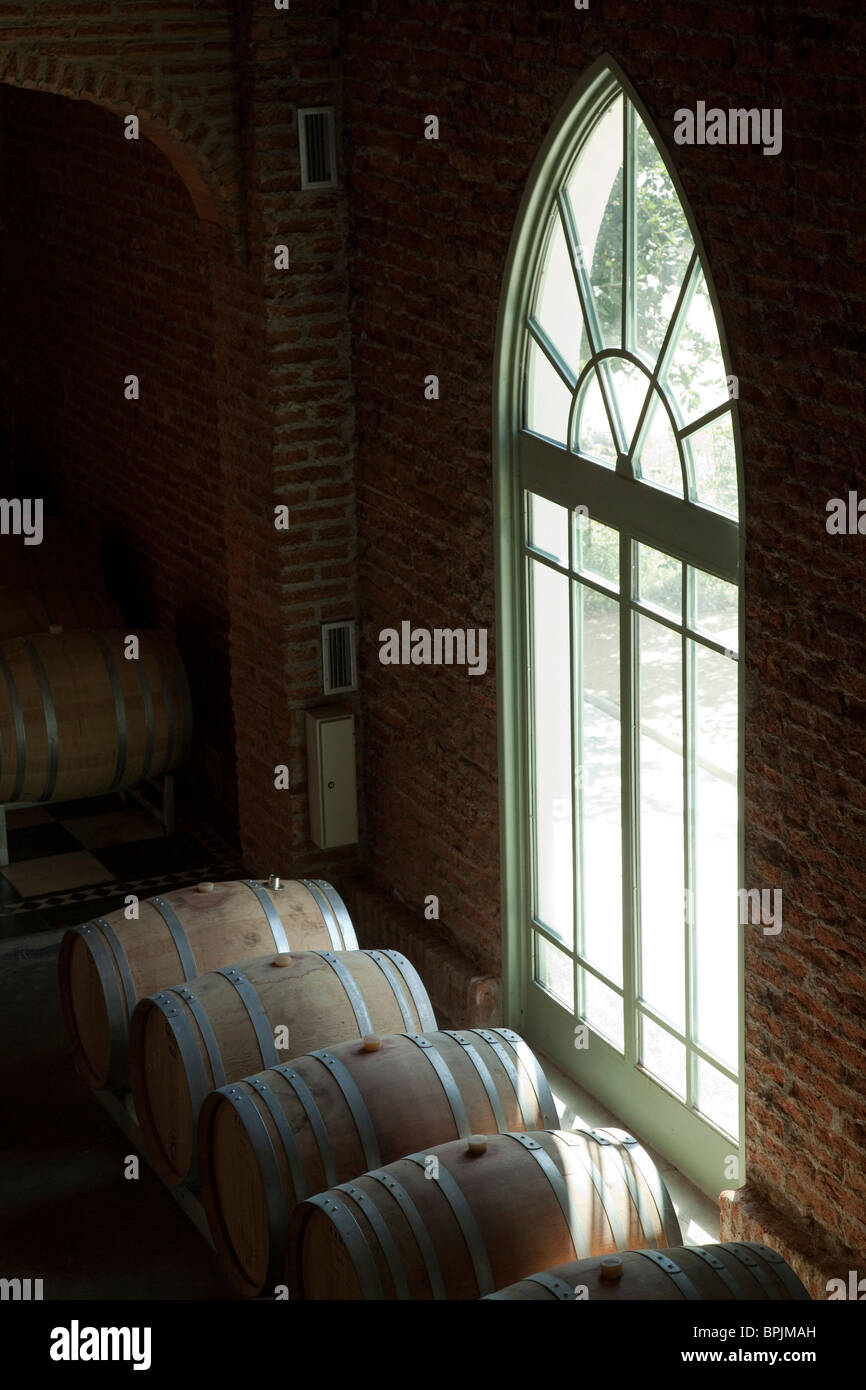 South America, Chile, Casablanca Valley. Arched window and wine barrels ...