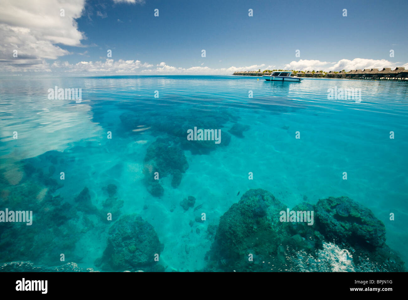 Parasailing over clear ocean hi-res stock photography and images - Alamy