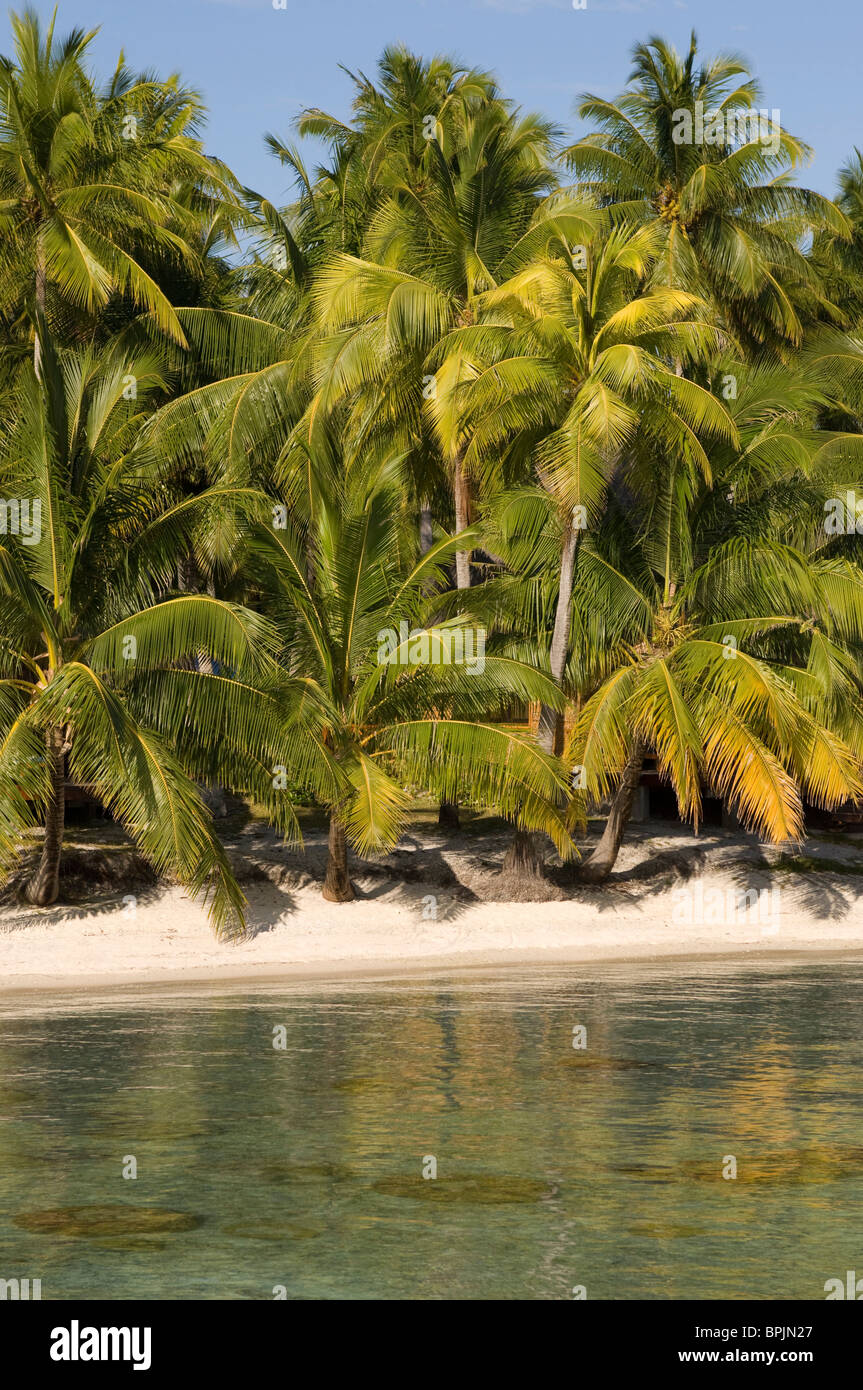 Rangiroa, Tuamotu Archipelago, French Polynesia Stock Photo - Alamy