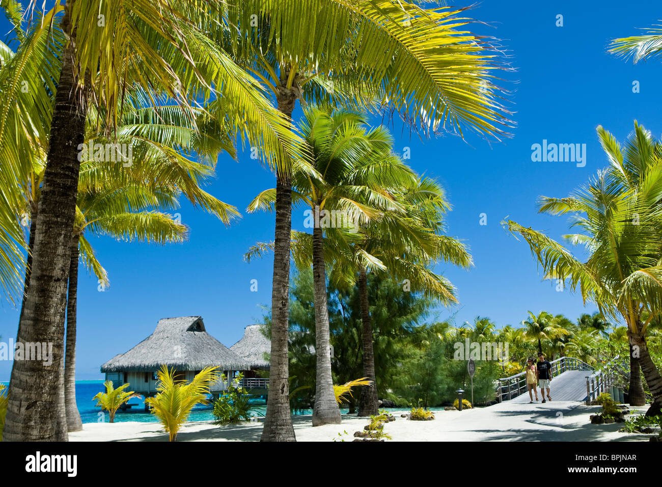 Scenics and grounds of beautiful resort in Bora Bora Stock Photo - Alamy