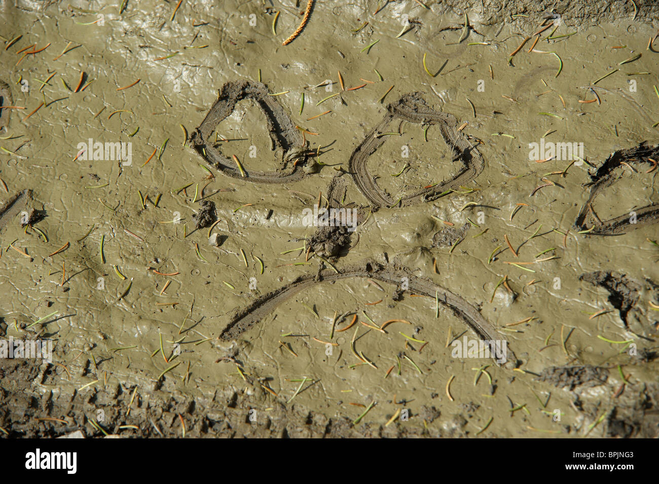 Faces imprint in mud Stock Photo - Alamy