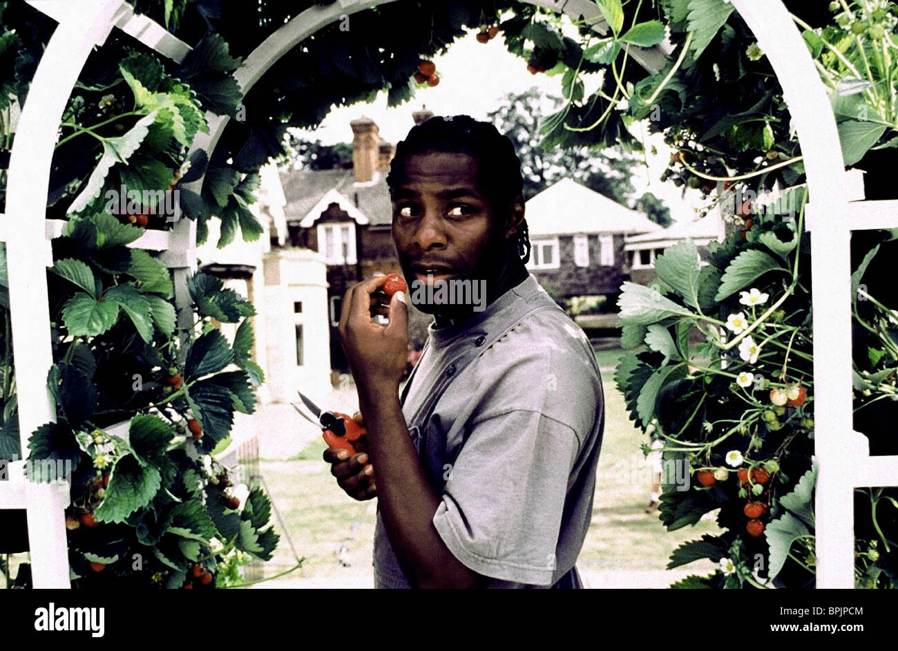 Actor Patterson Joseph High Resolution Stock Photography and Images - Alamy