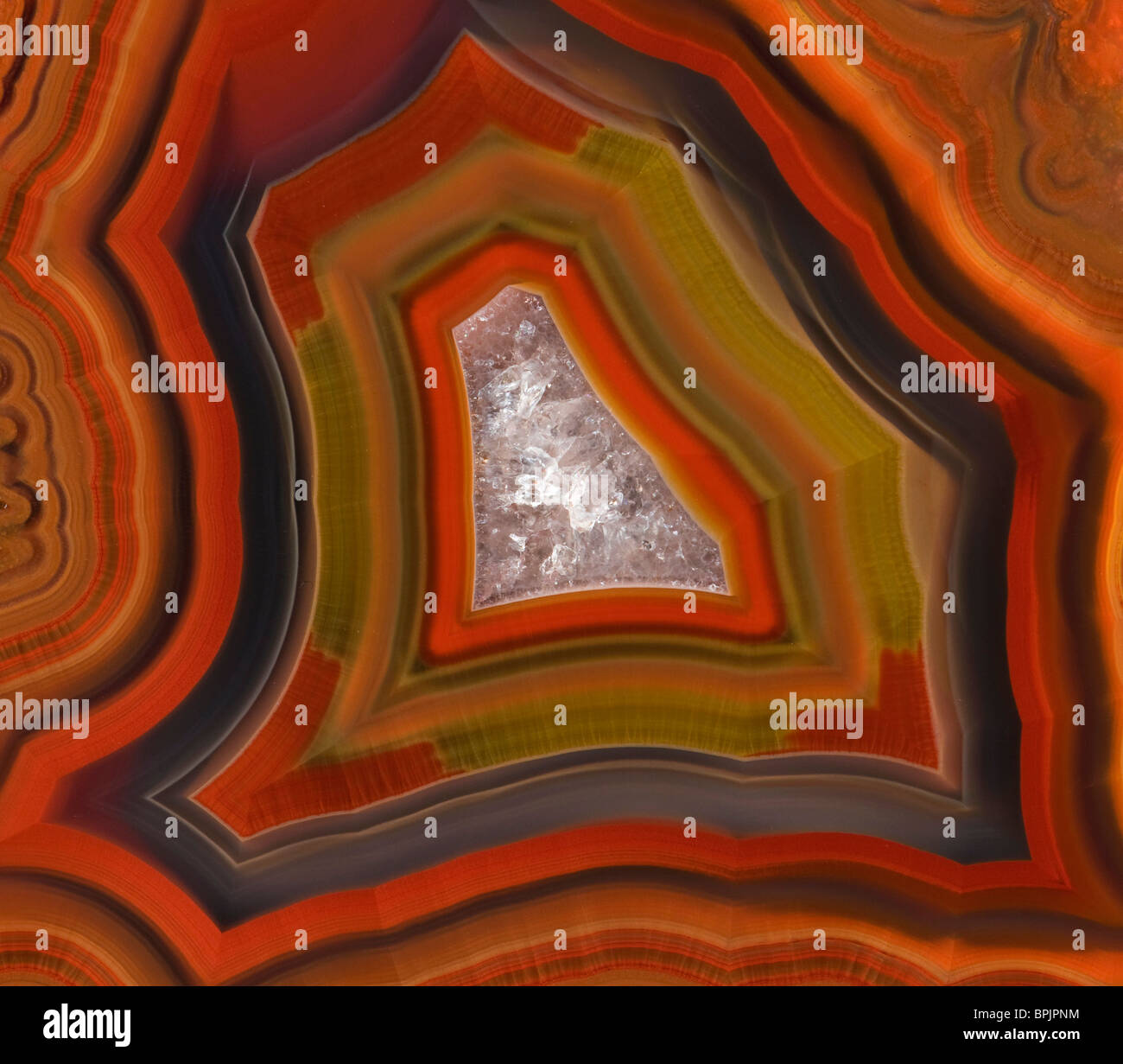 Condor shape hi-res stock photography and images - Alamy