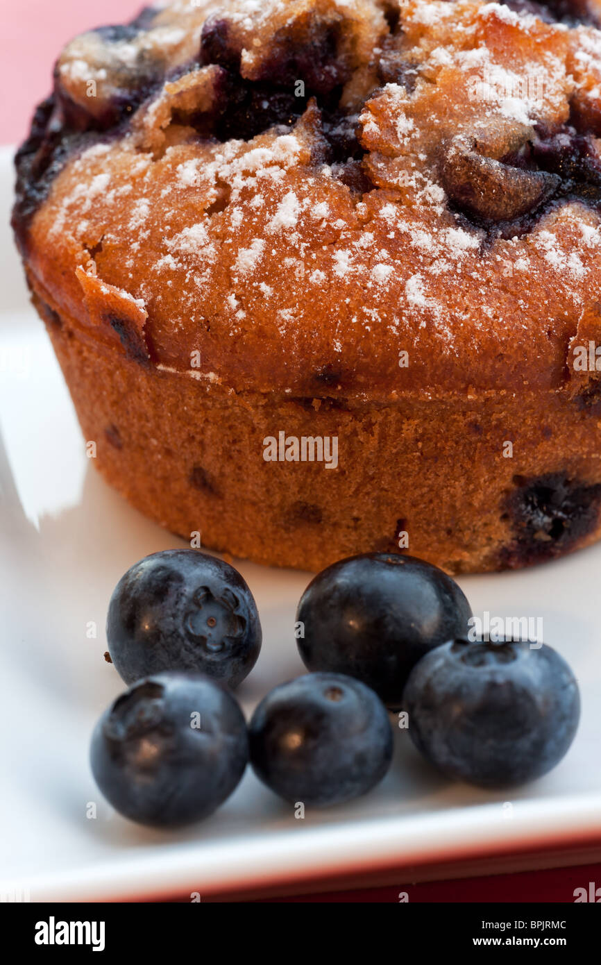 blueberry muffin on a square plate Stock Photo - Alamy