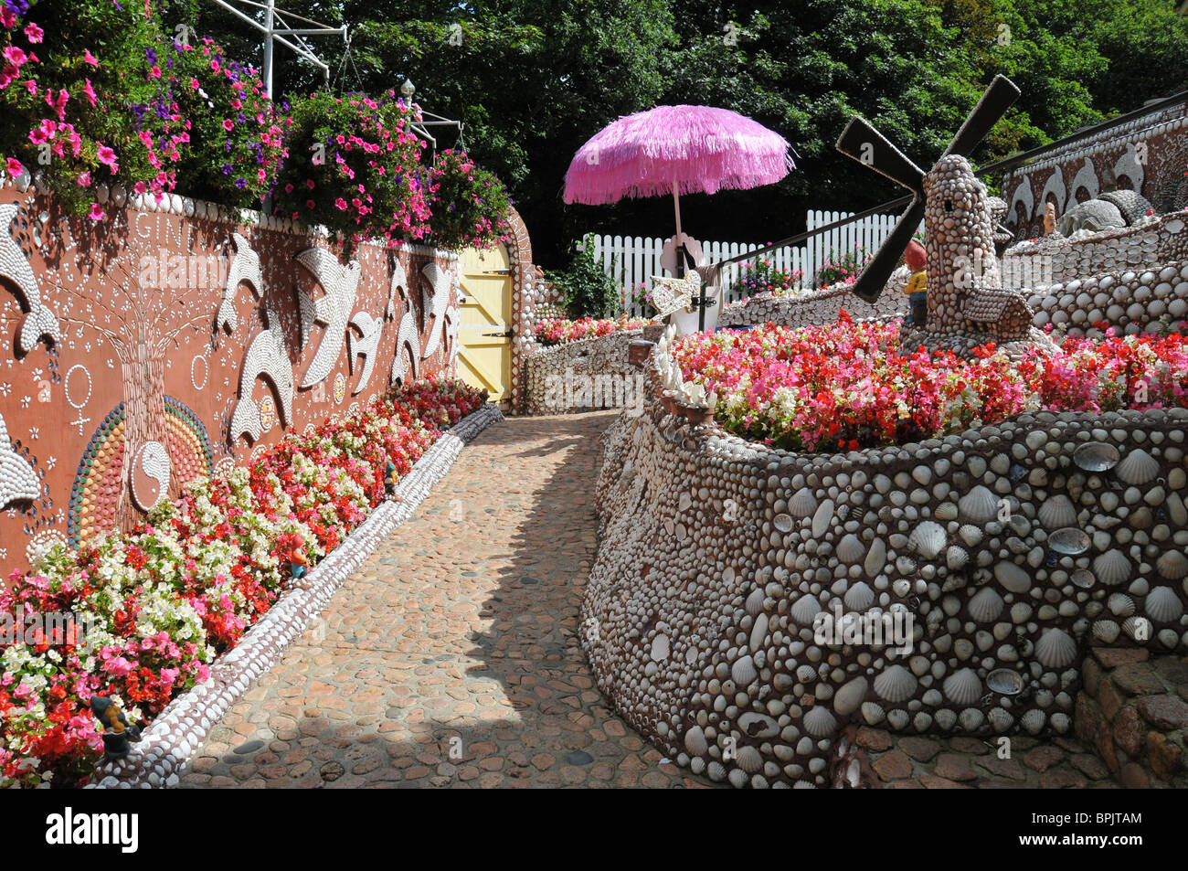 'shell garden' jersey shells hi-res stock photography and images - Alamy