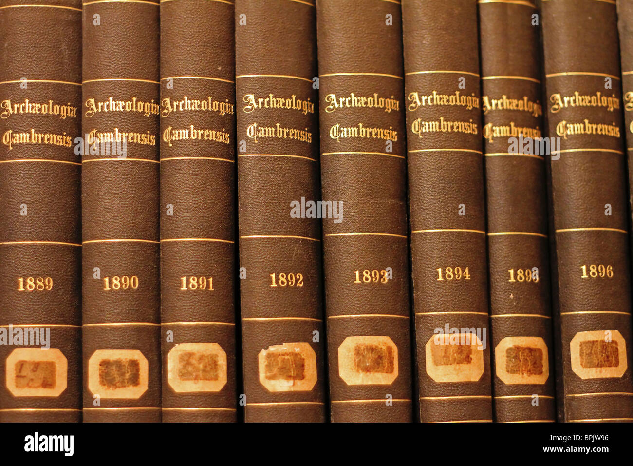 Preserved books hi-res stock photography and images - Alamy