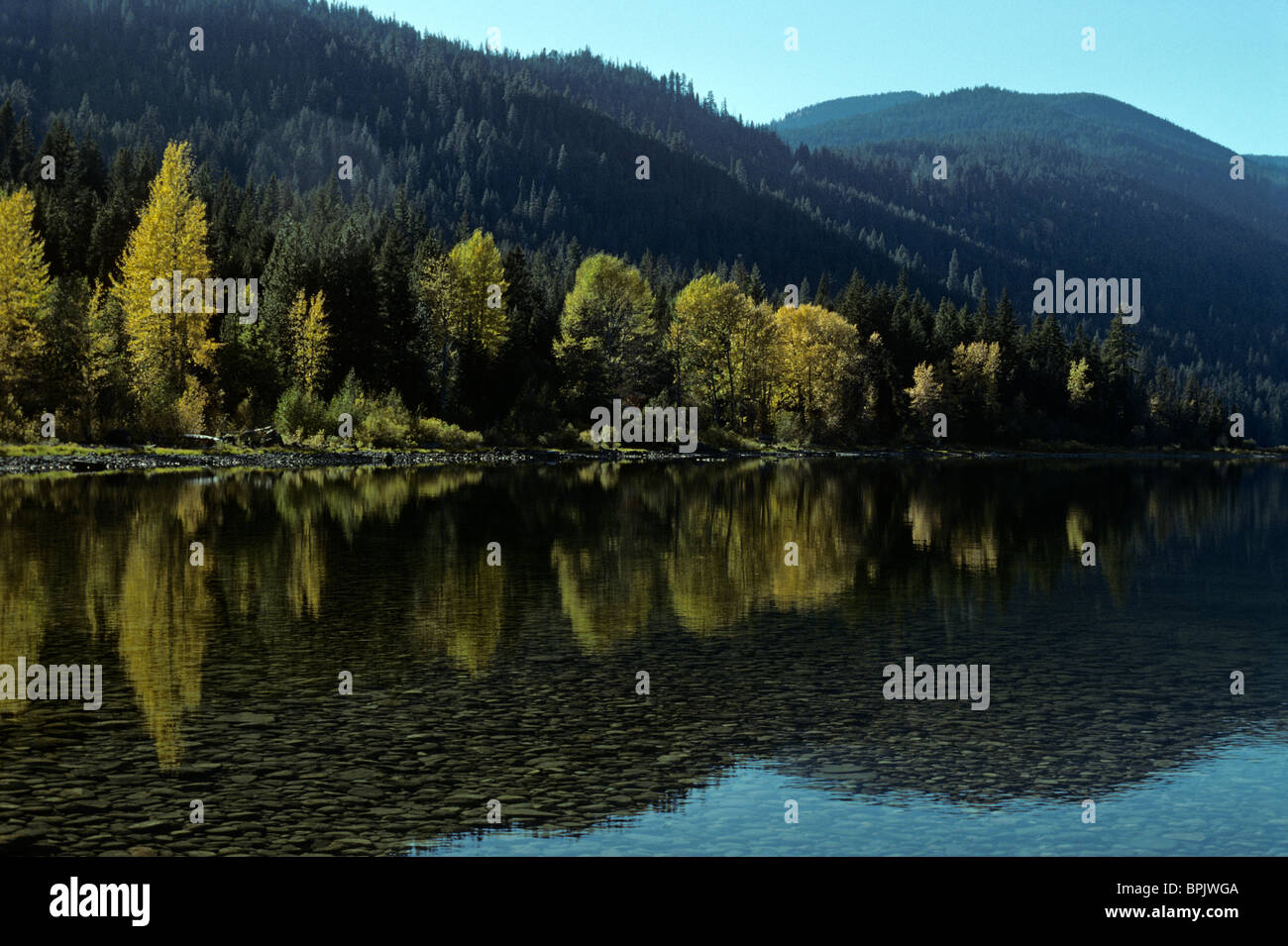 Autumn trees along the shoreline of Lake Wenatchee Eastern Washington ...