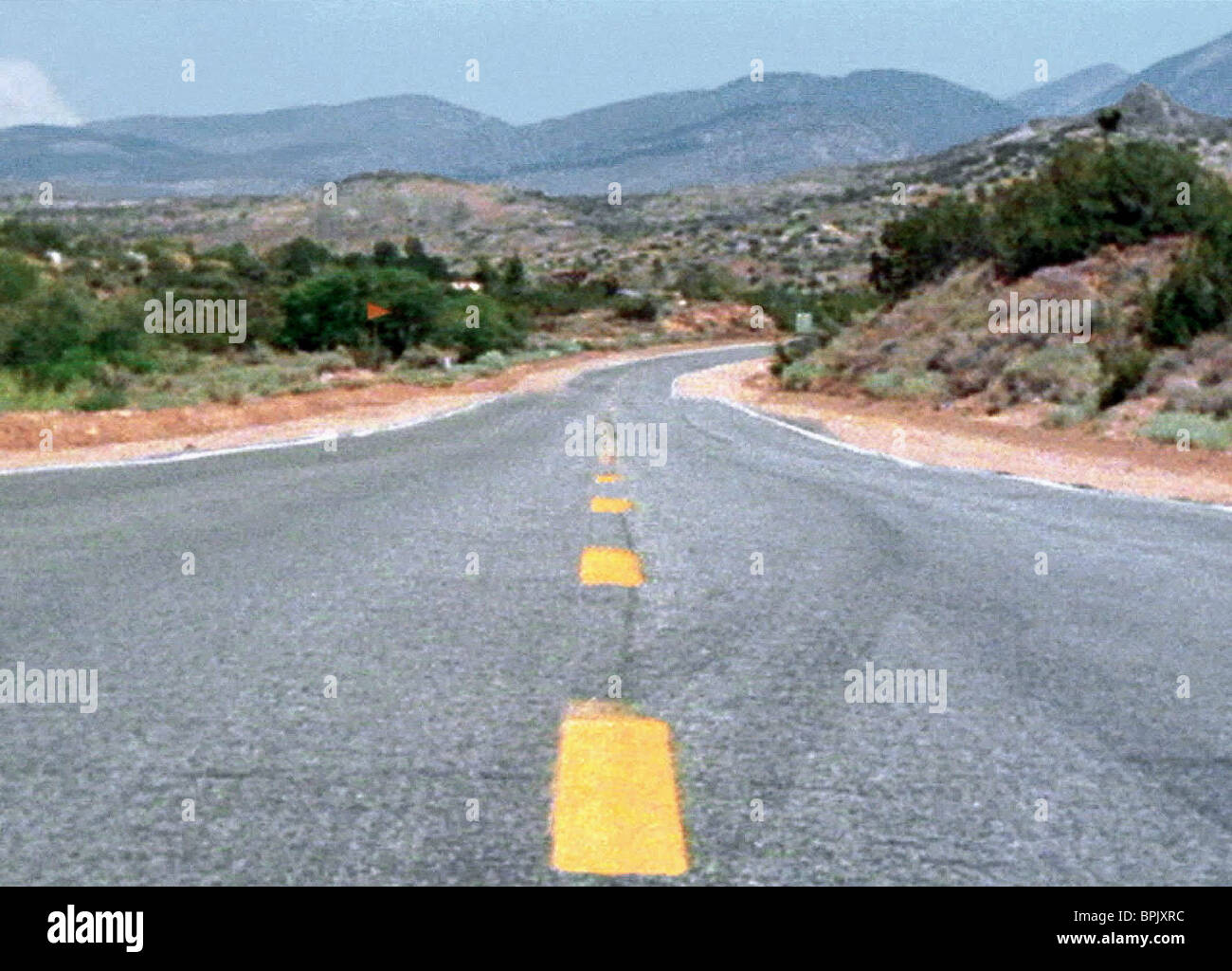 Brown Bunny Scene High Resolution Stock Photography and Images - Alamy