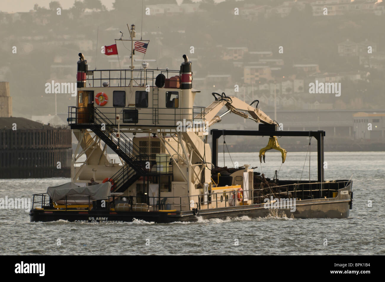 Raccoon Scavenger US Army Corps of Engineers Stock Photo - Alamy