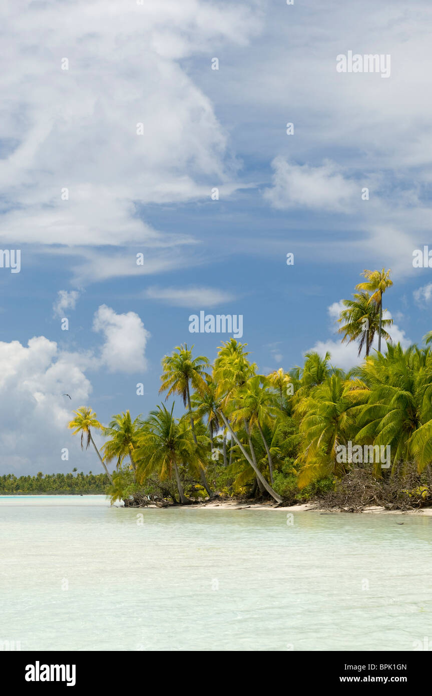 Blue Lagoon, Rangiroa, Tuamotu Archipelago, French Polynesia Stock ...