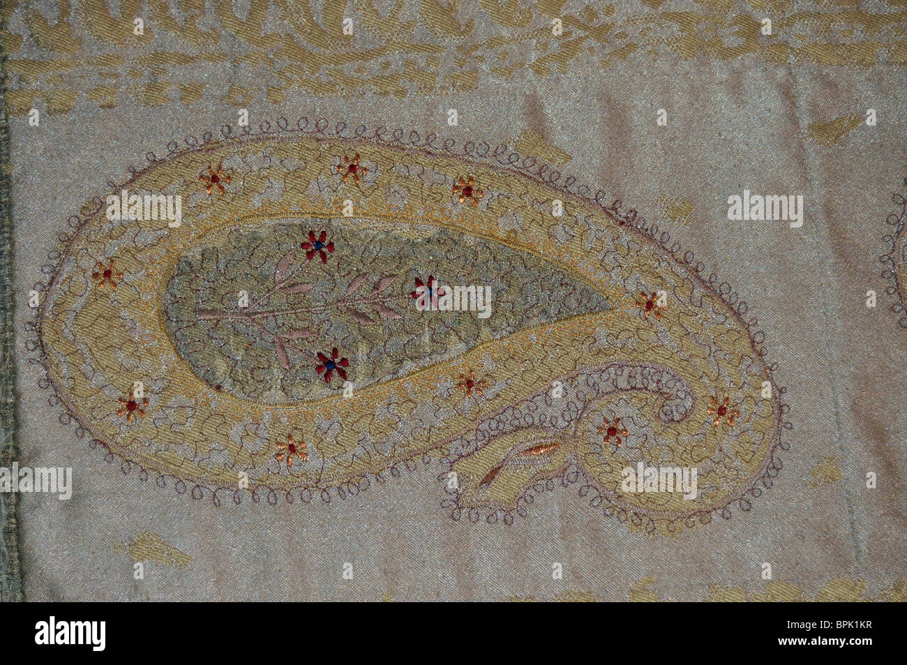 Mango design hi-res stock photography and images - Alamy