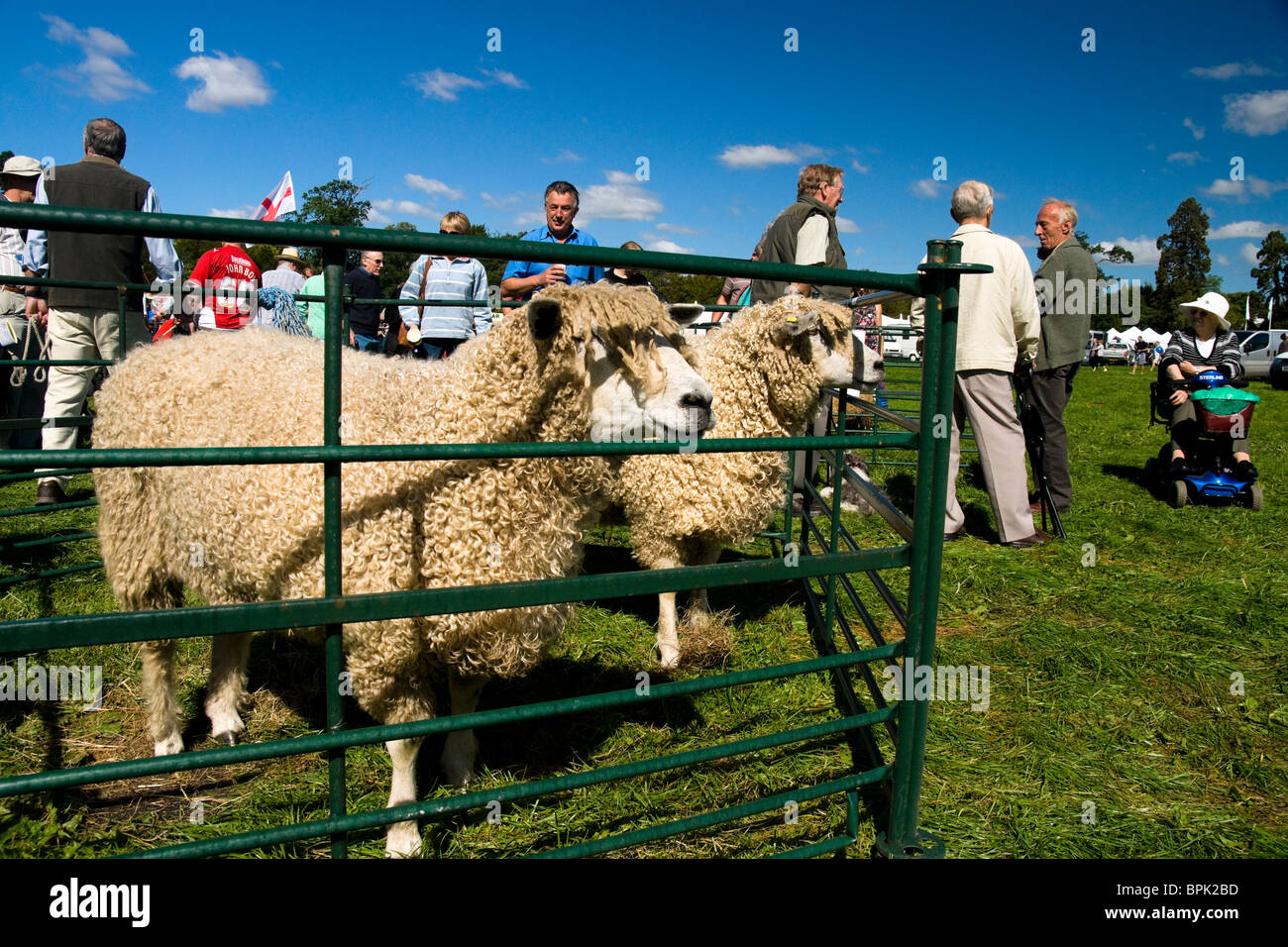 Berkeley Castle Country Show Gloucestershire Stock Photo - Alamy