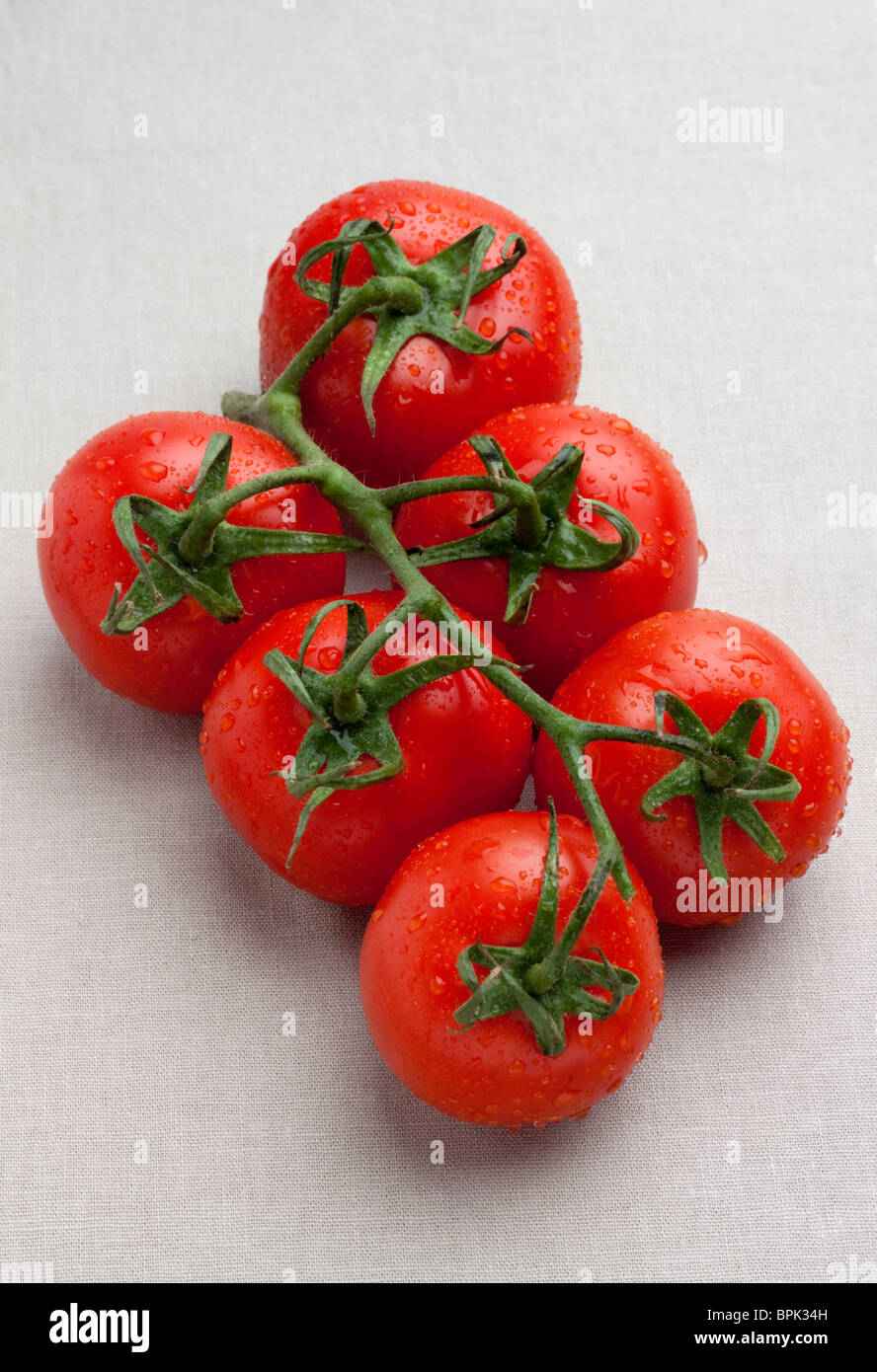 truss tomatoes on linen Stock Photo - Alamy