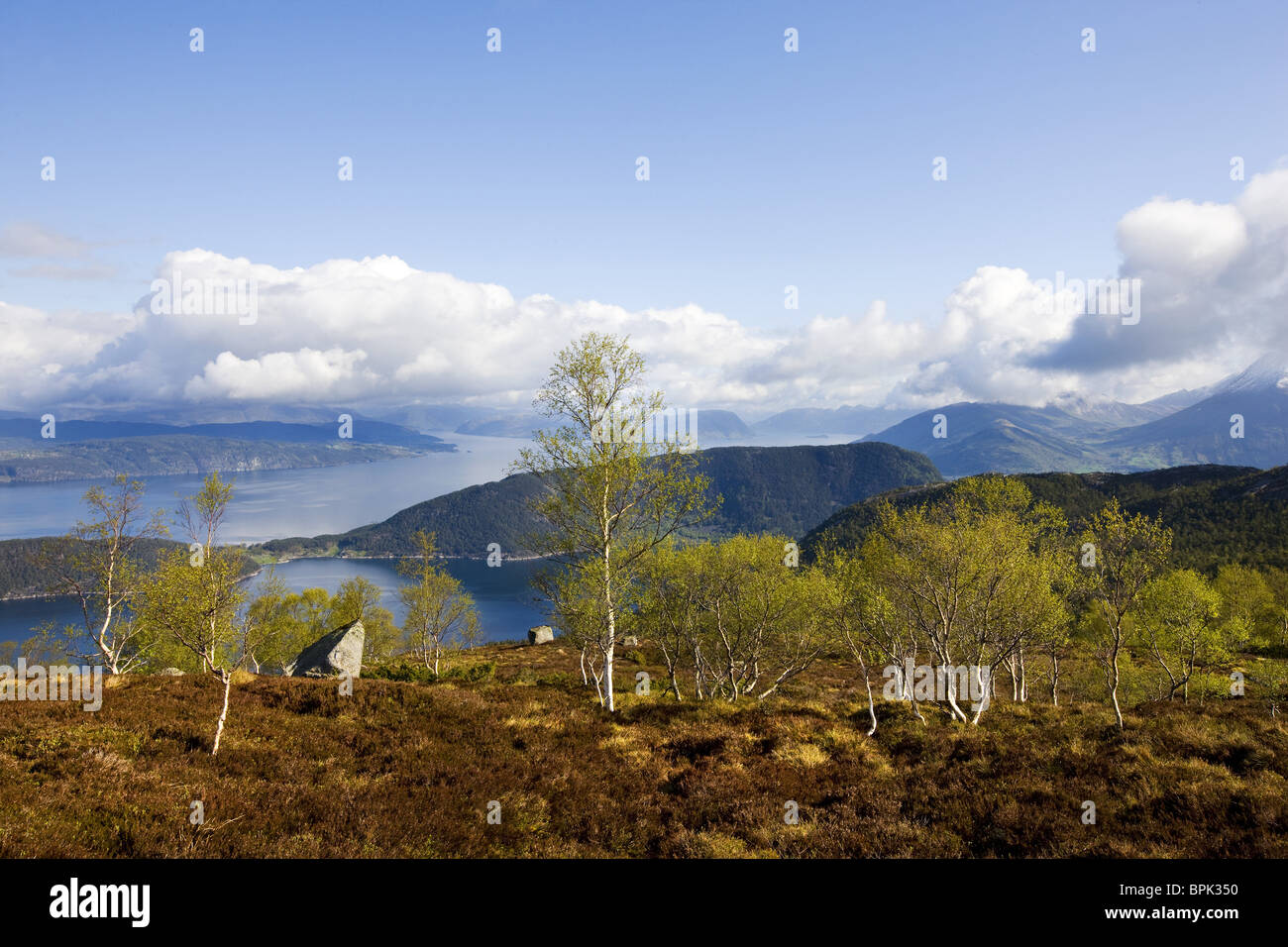 View at the Hardanfgerfjord, Folgefonn peninsula, Kvinnherad, Hardanger ...