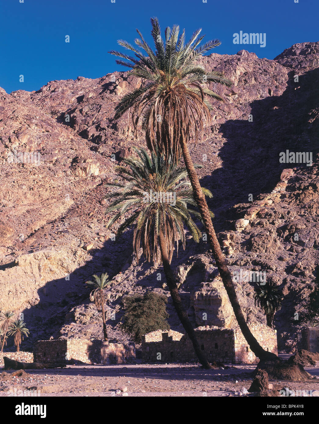 Sinai Desert, Egypt Stock Photo - Alamy
