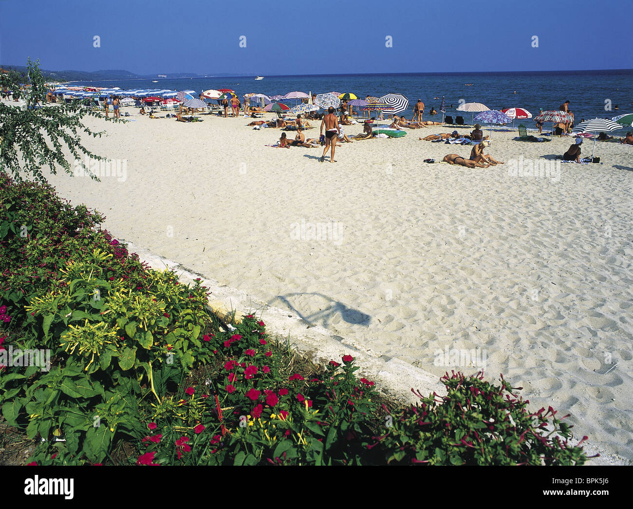 Polychrono hi-res stock photography and images - Alamy