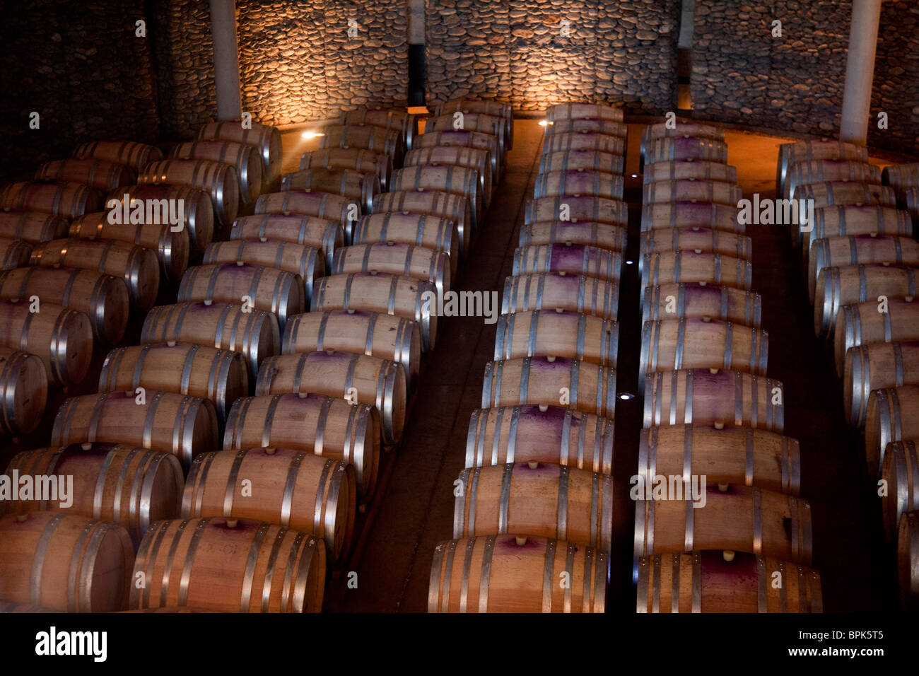 South America, Chile, Cordillera. The wine cellar at Matetic Winery ...
