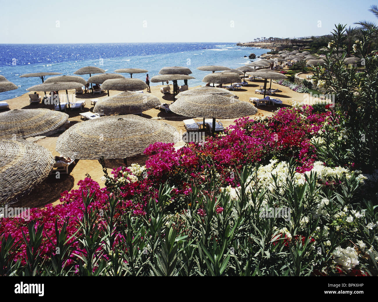 Sharm-El-Sheikh, Red Sea, Egypt Stock Photo - Alamy