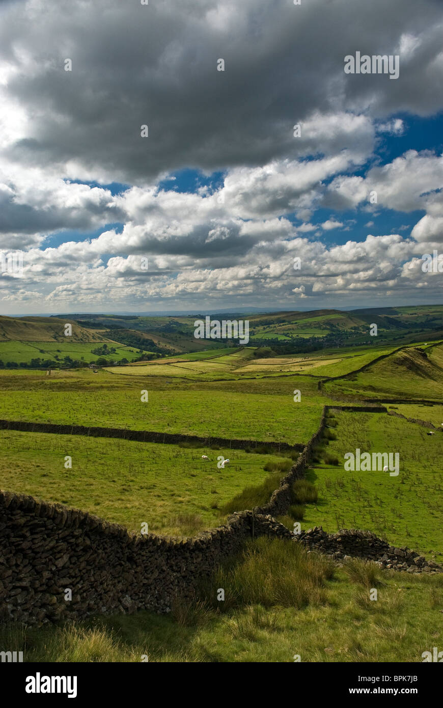 Dry stone walling across fields in Peak District, Derbyshire, UK Stock ...