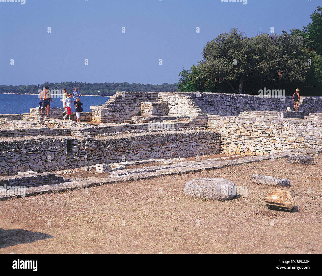 Island of Brijuni, Croatia Stock Photo - Alamy