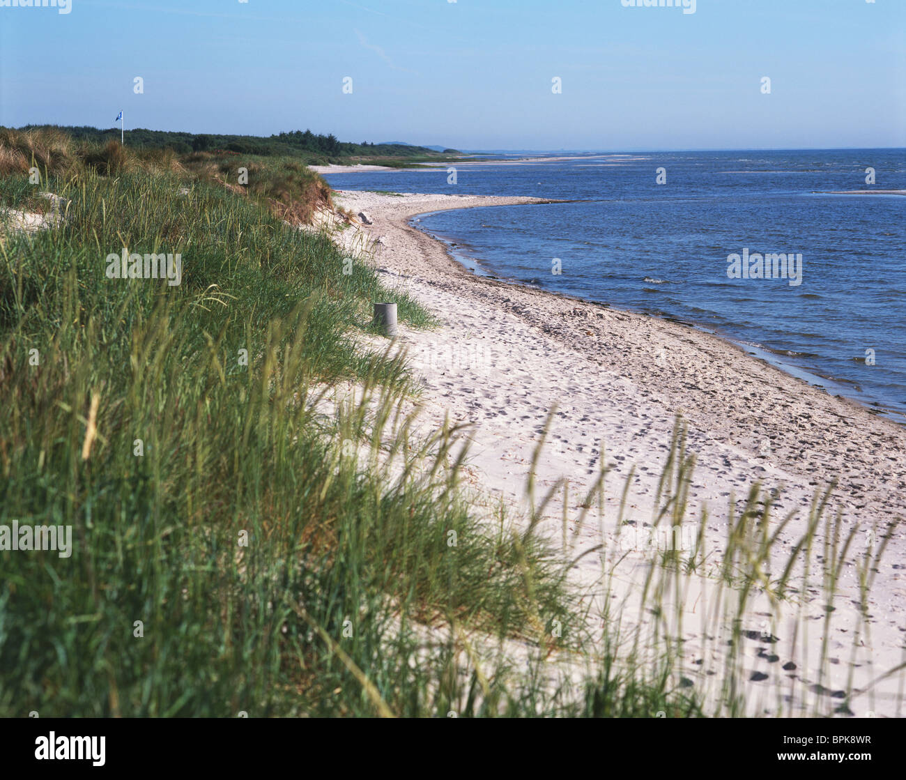 East Coast Beach, Jutland, Denmark Stock Photo - Alamy