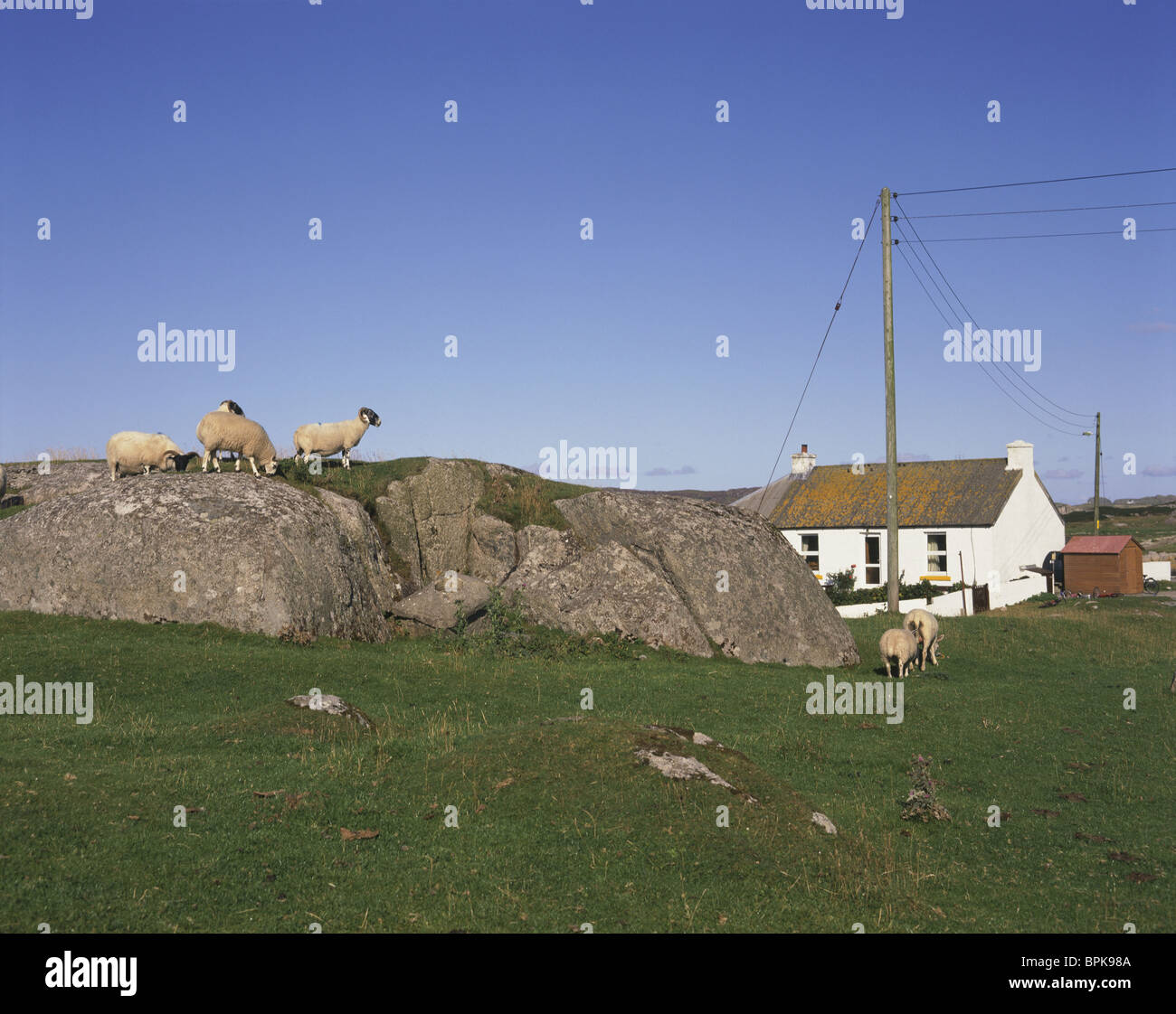 Fidden, Isle of Mull, Scotland Stock Photo - Alamy