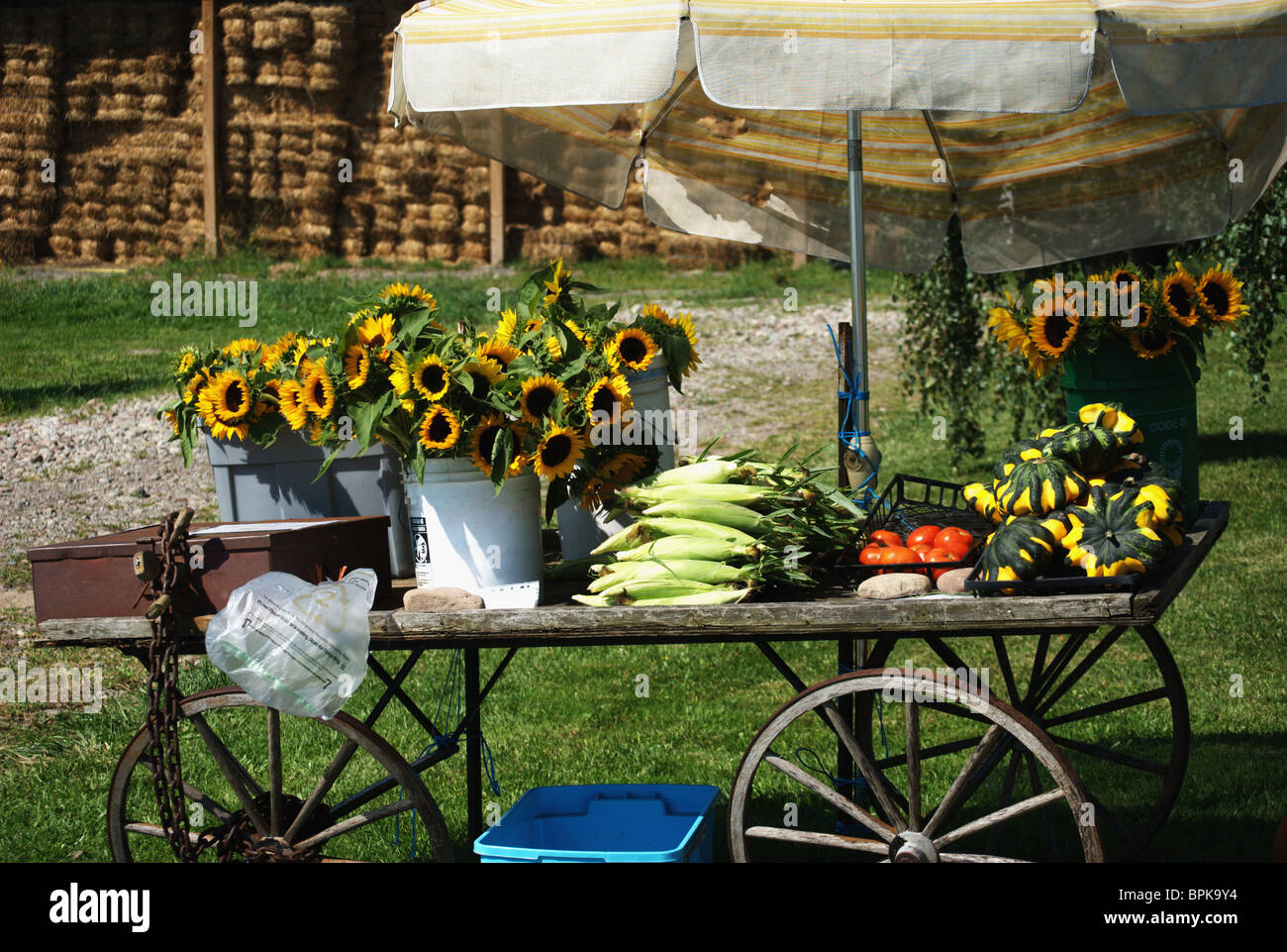 Road side farmers stand hi-res stock photography and images - Alamy