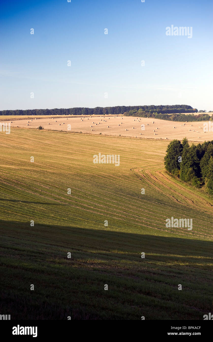 View over Dorset showing harvested patchwork fields Stock Photo - Alamy