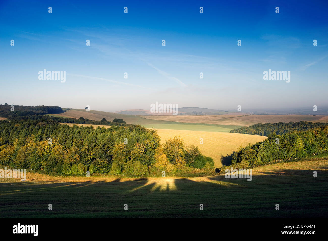 View over Dorset showing harvested patchwork fields Stock Photo - Alamy