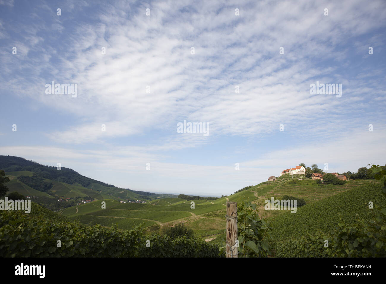Staufenberg Castle, Durbach-Staufenberg, Black Forest, Baden ...