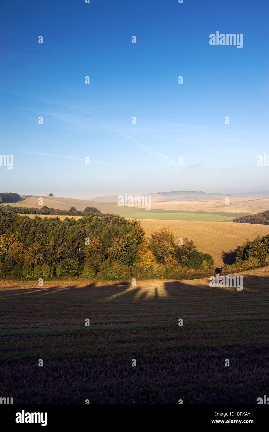 View over Dorset showing harvested patchwork fields Stock Photo - Alamy