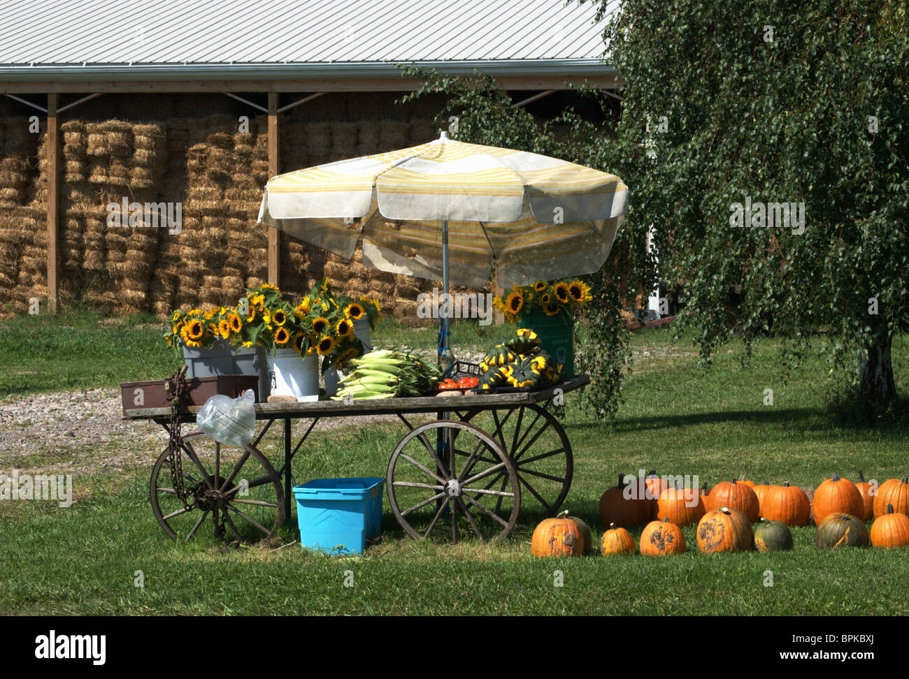 Farmer's roadside stand on rural road Stock Photo - Alamy