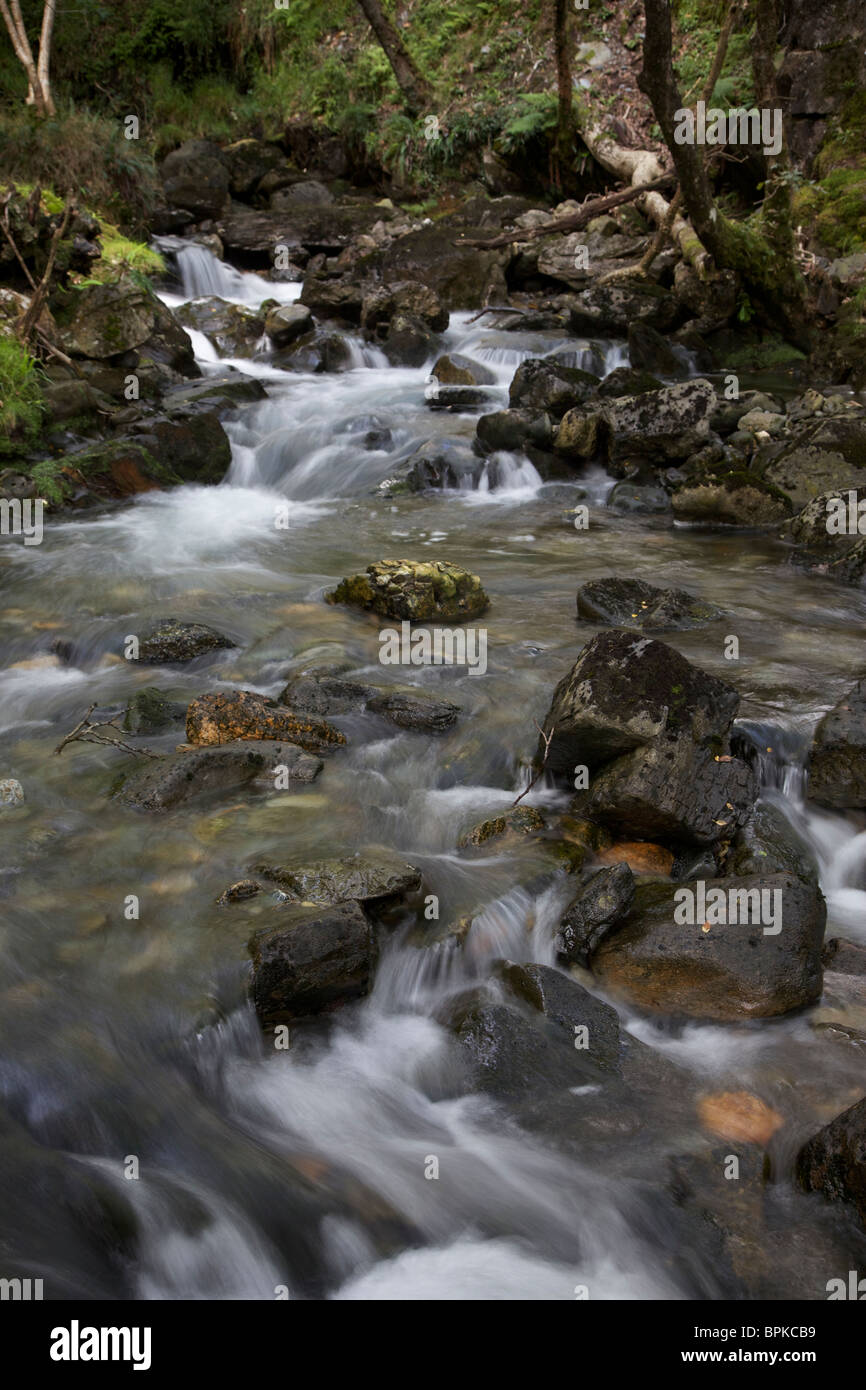 Wooded river scene Stock Photo - Alamy