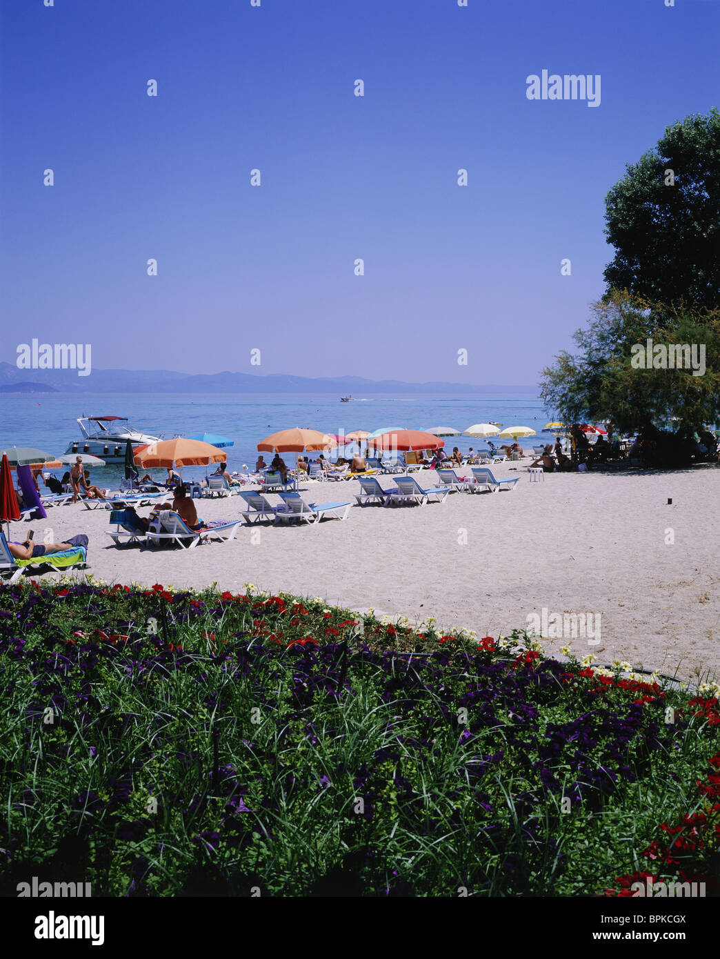 Hanioti hi-res stock photography and images - Alamy