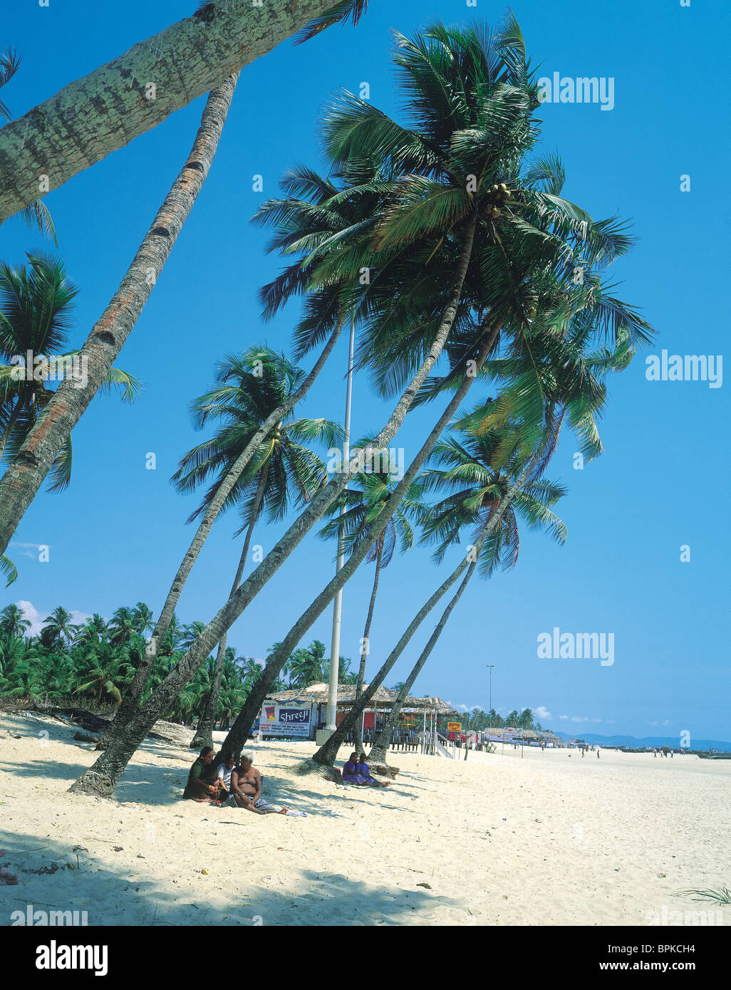 Colva Beach, Goa, India Stock Photo - Alamy