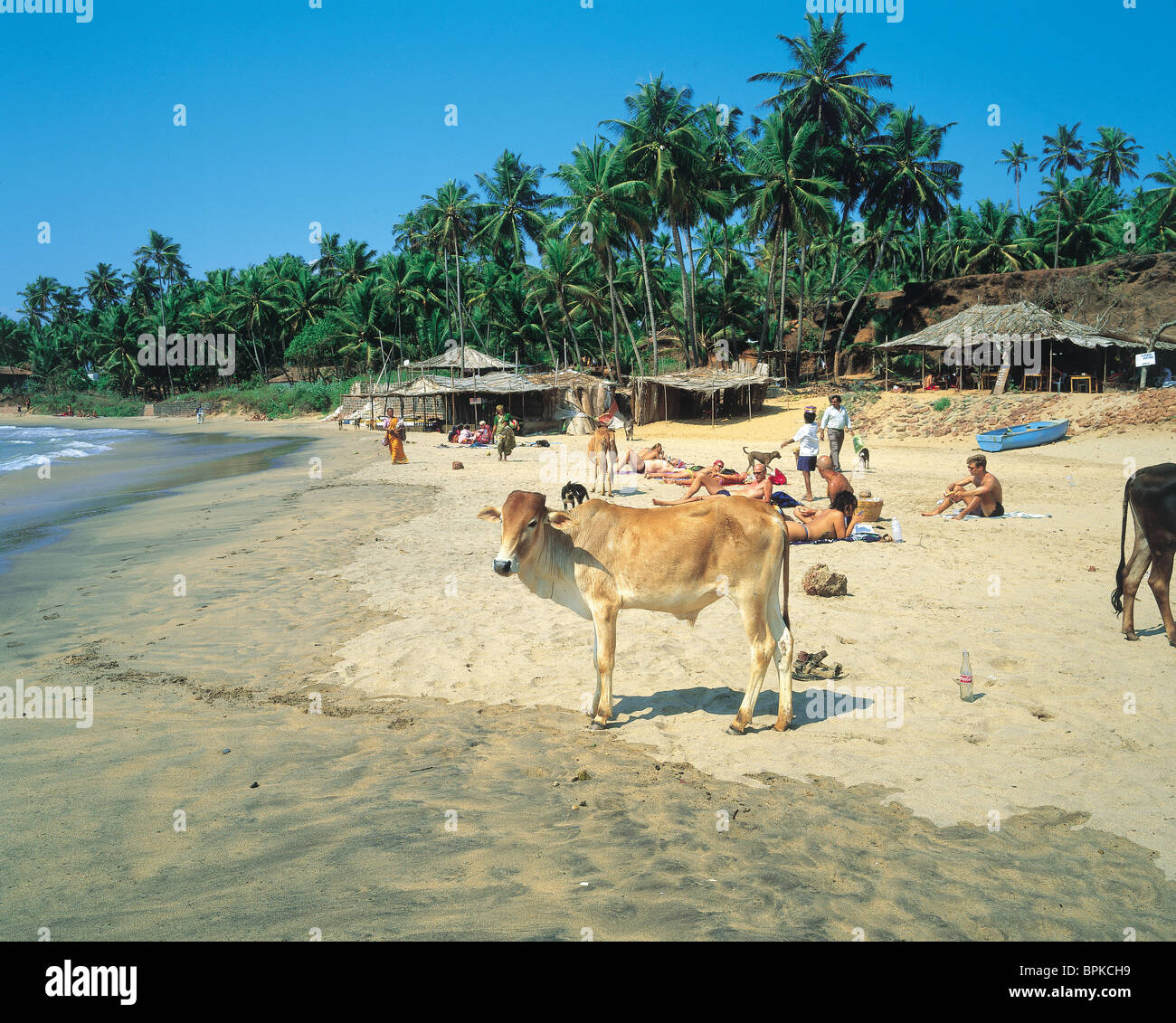 Anjuna Beach, Goa, India Stock Photo - Alamy