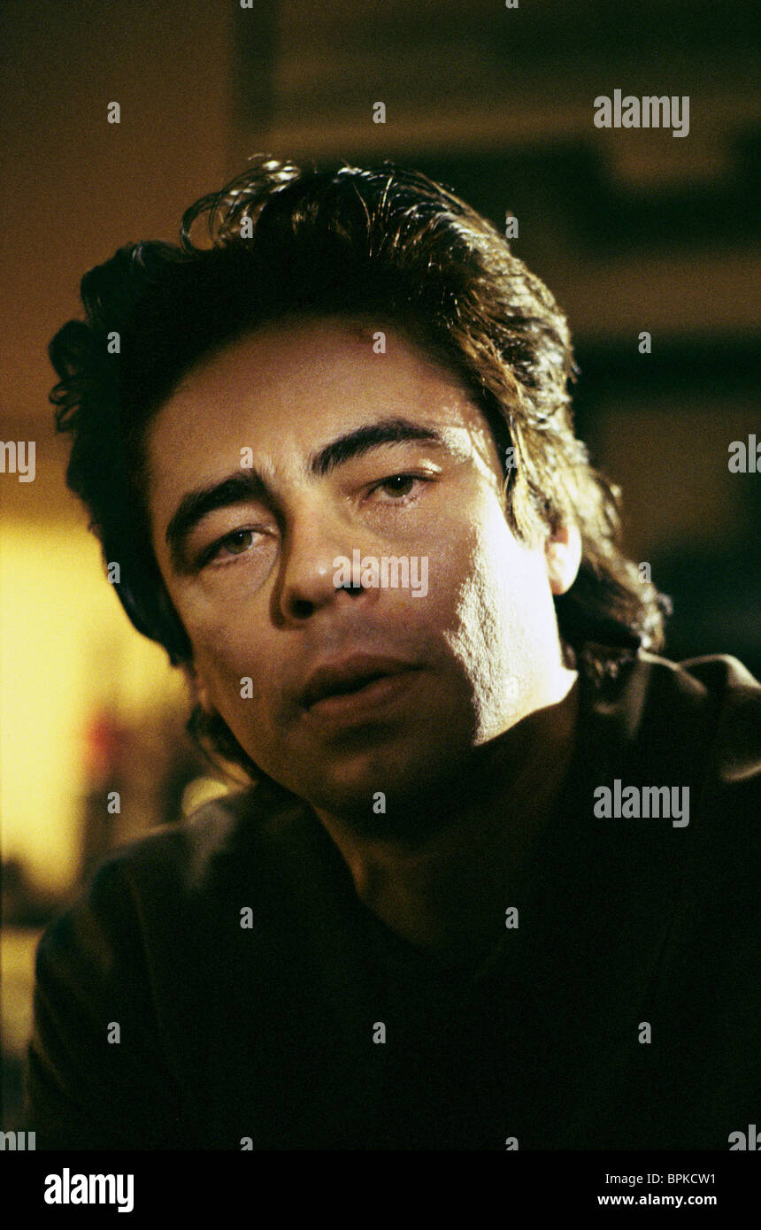Benicio Del Toro High Resolution Stock Photography and Images - Alamy