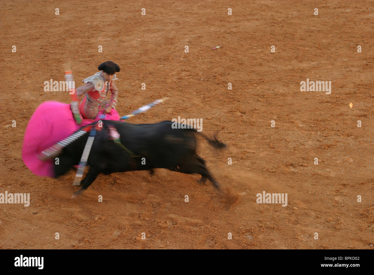 Bullfight, Albufeira, Portugal Stock Photo - Alamy
