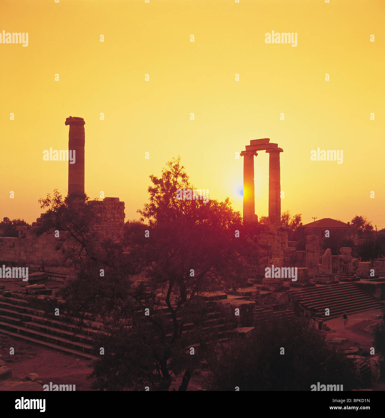 Temple of Apollo, Didyma, Turkey Stock Photo - Alamy