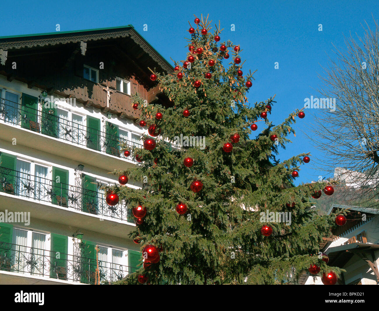 Austria christmas tree hi-res stock photography and images - Alamy