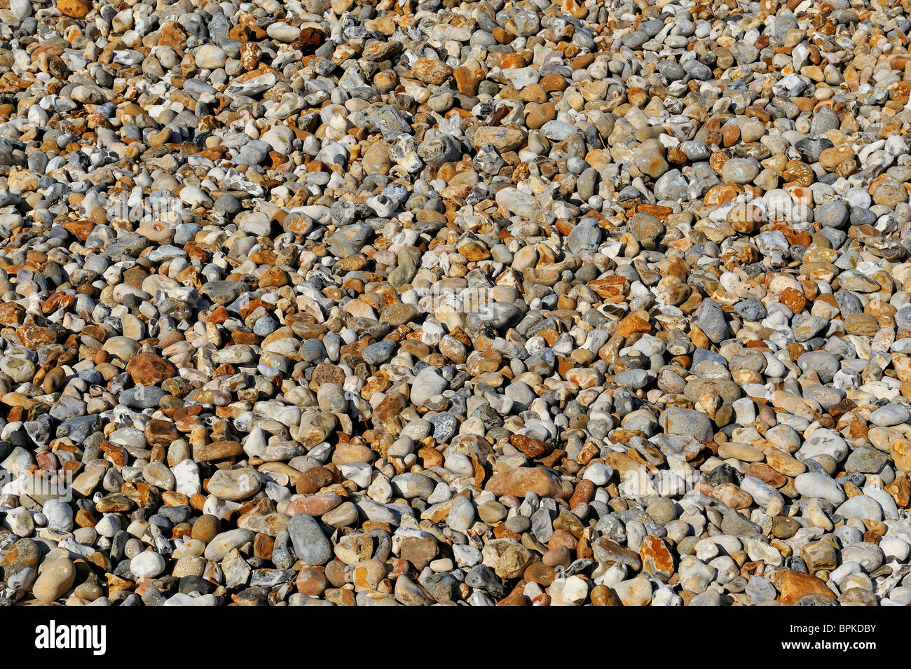Pebbles at the beach Stock Photo - Alamy