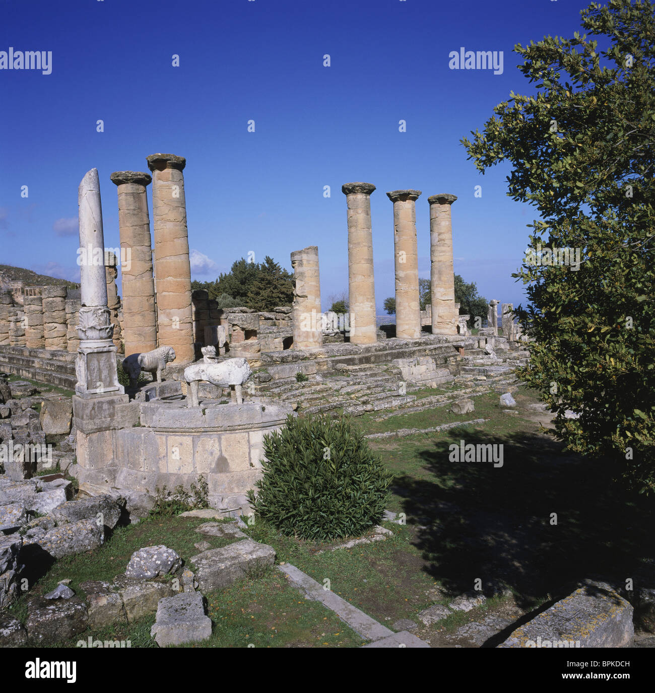 Temple of Apollo, Cyrene, Libya Stock Photo - Alamy