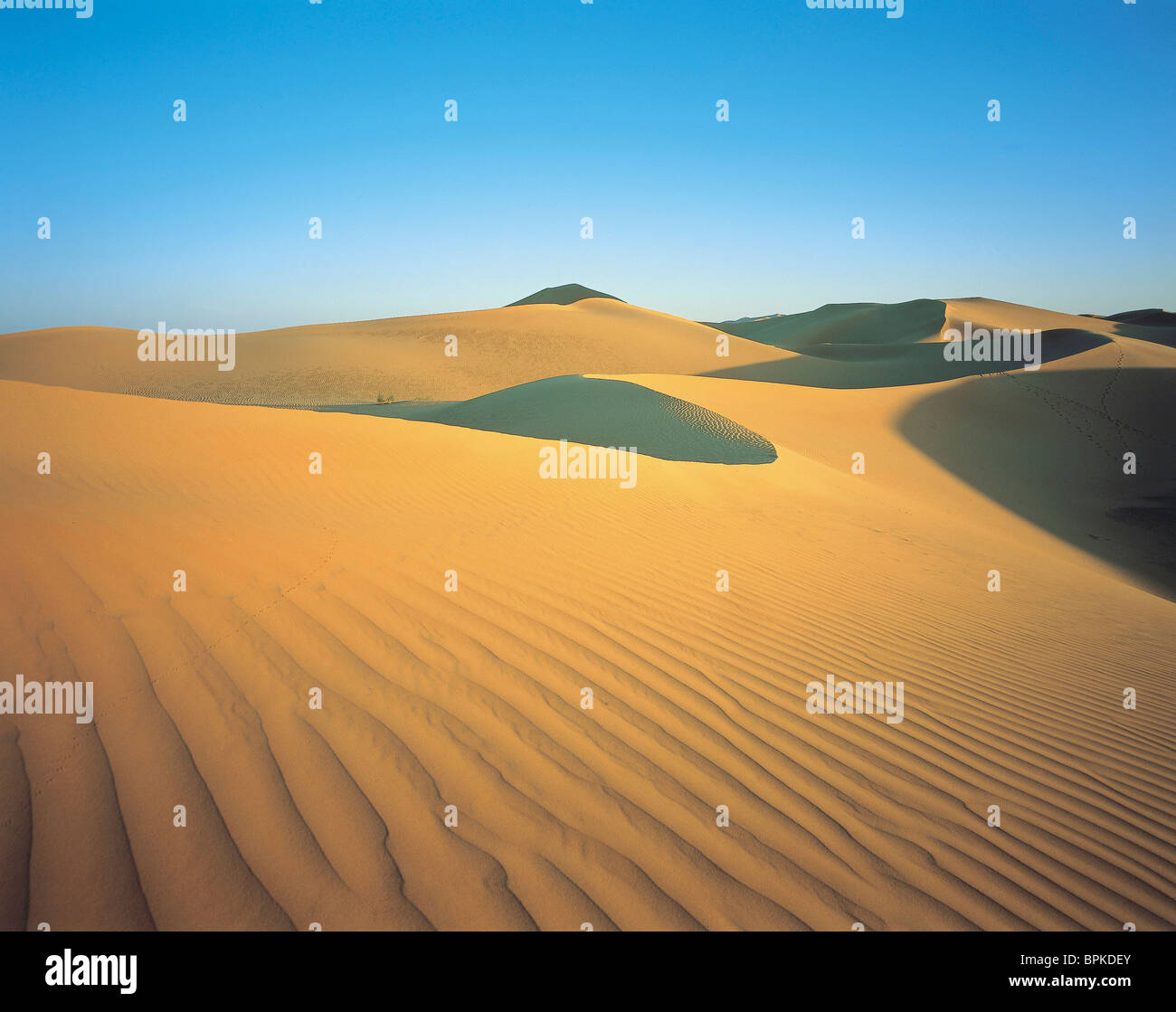 Sahara Desert, Algeria Stock Photo - Alamy