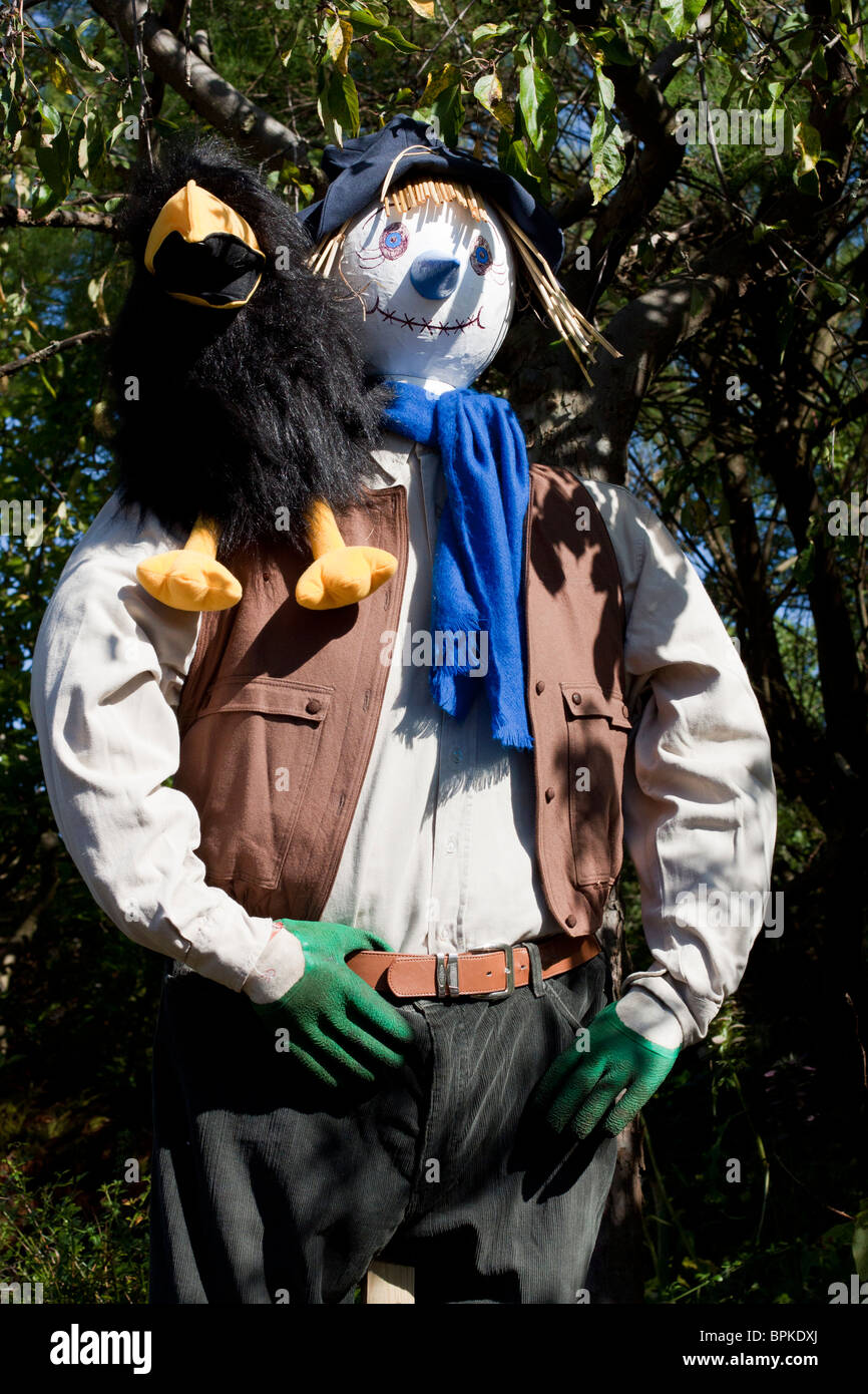 Scarecrow and crow at a Scarecrow Festival Stock Photo - Alamy