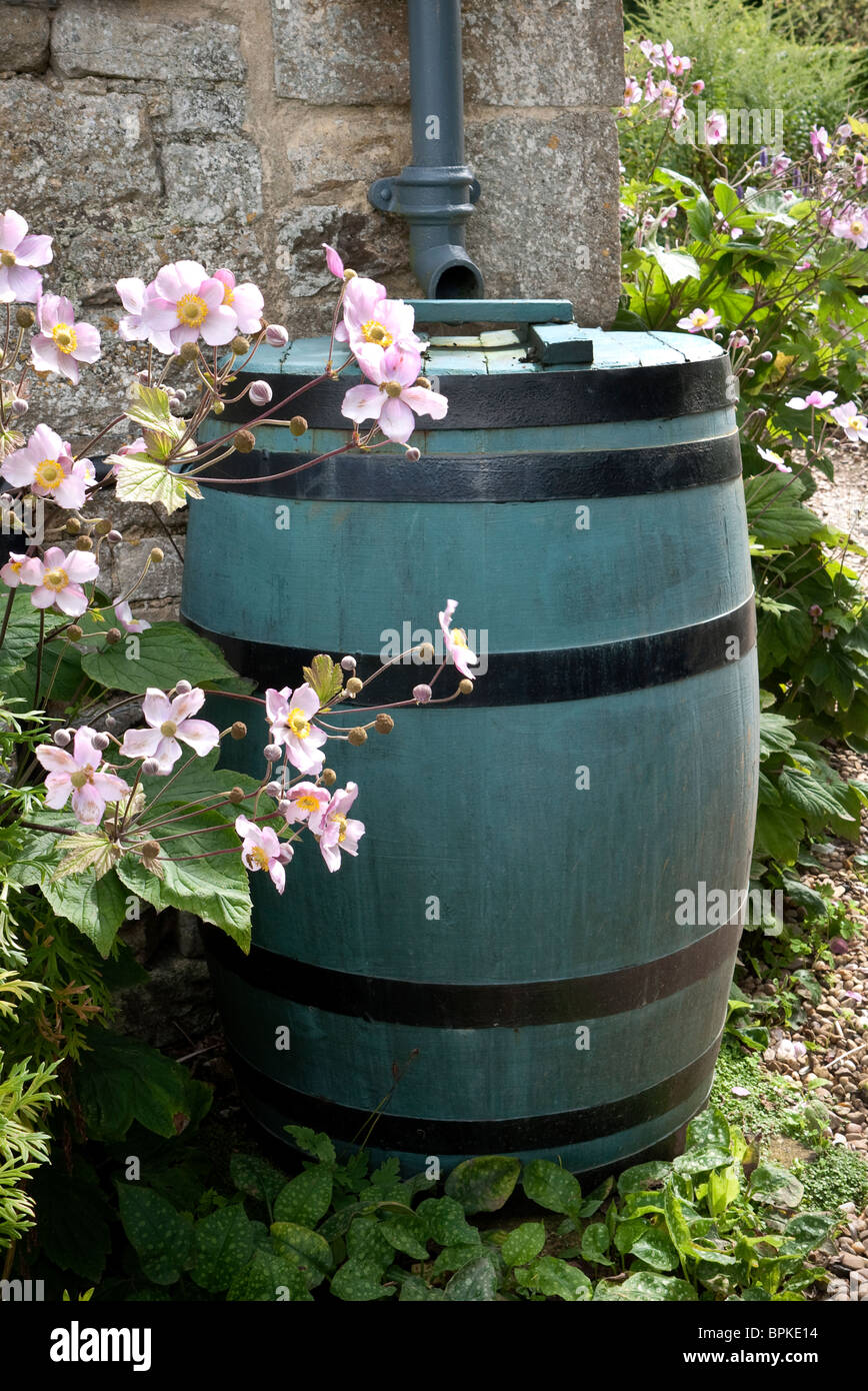 Garden Water barrel in village garden Stock Photo - Alamy