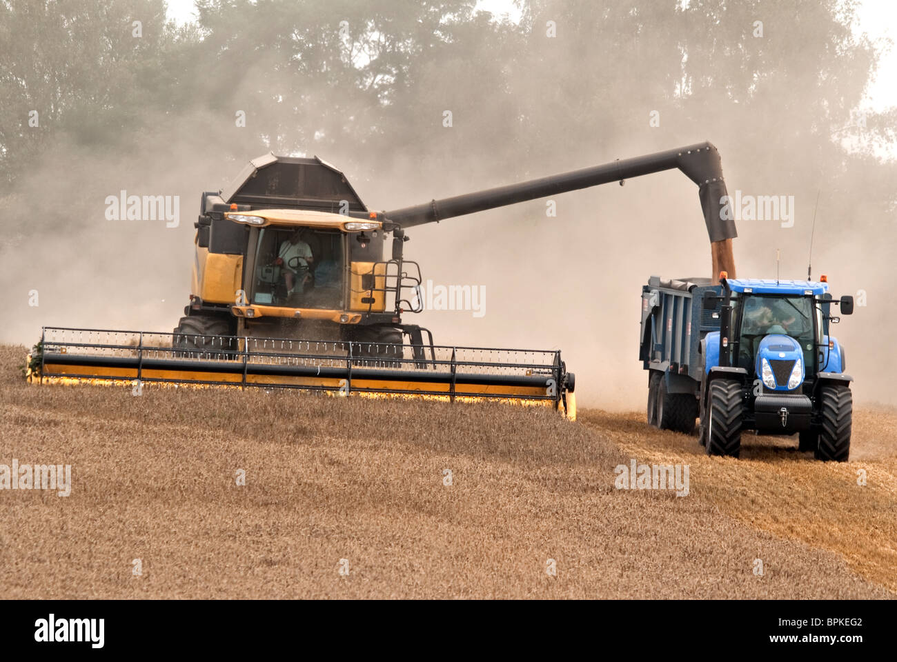 Uk wheat harvesting hi-res stock photography and images - Alamy