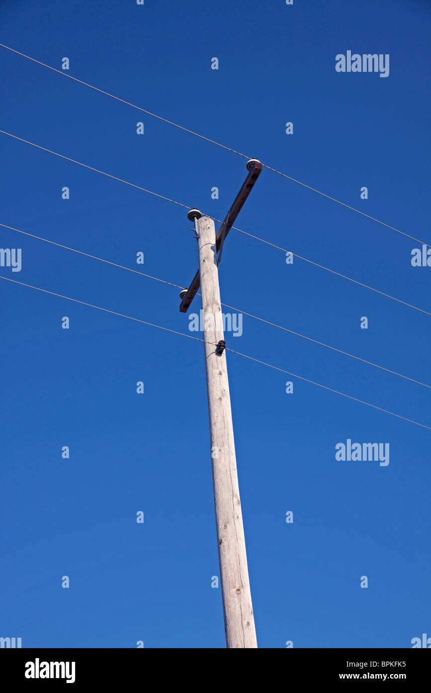 Electric transmission lines wooden poles hi-res stock photography and ...